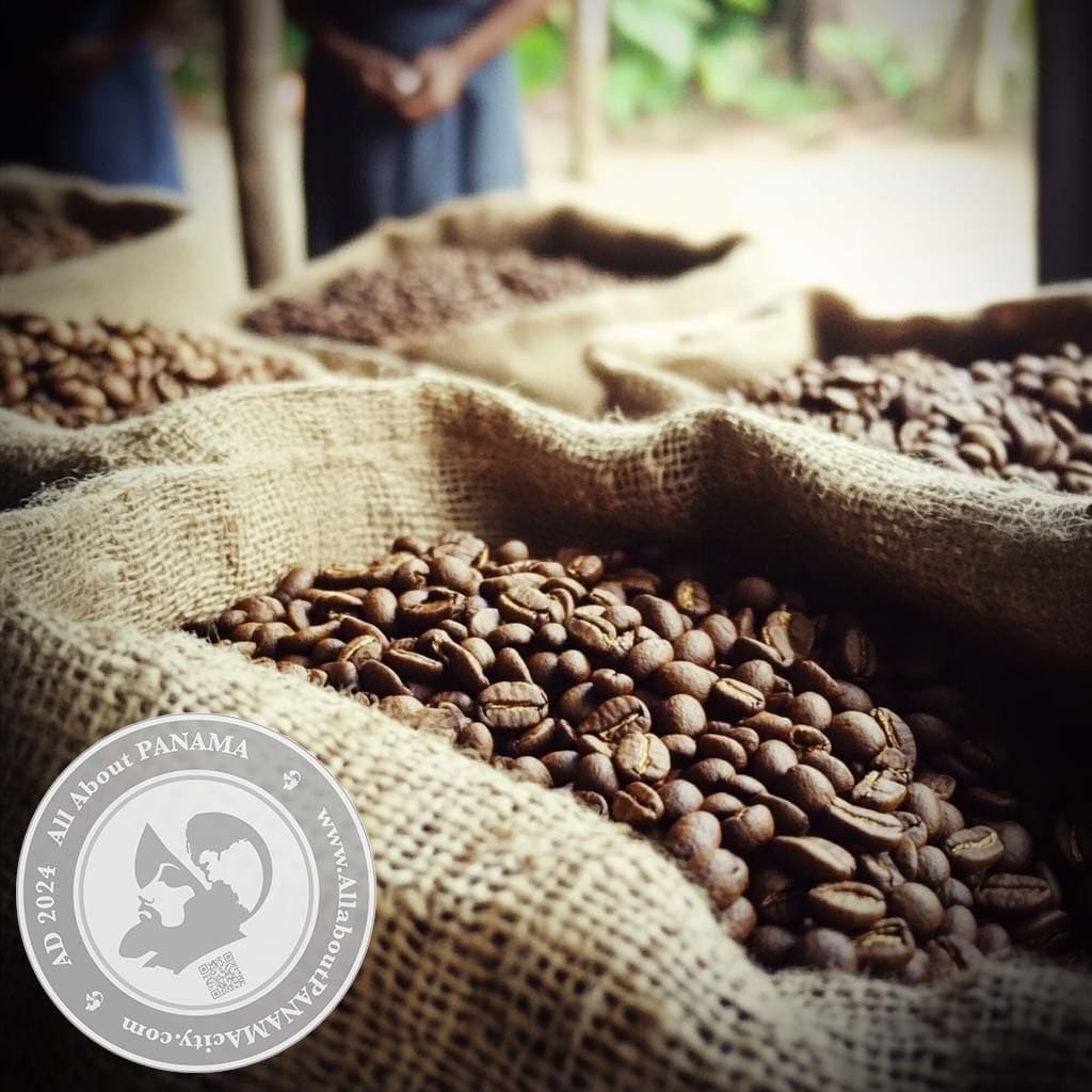 Coffee in Panama | All About Panama City